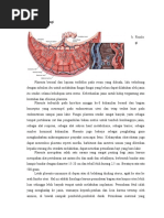 SOP Sectio Caesarea di RS | PDF