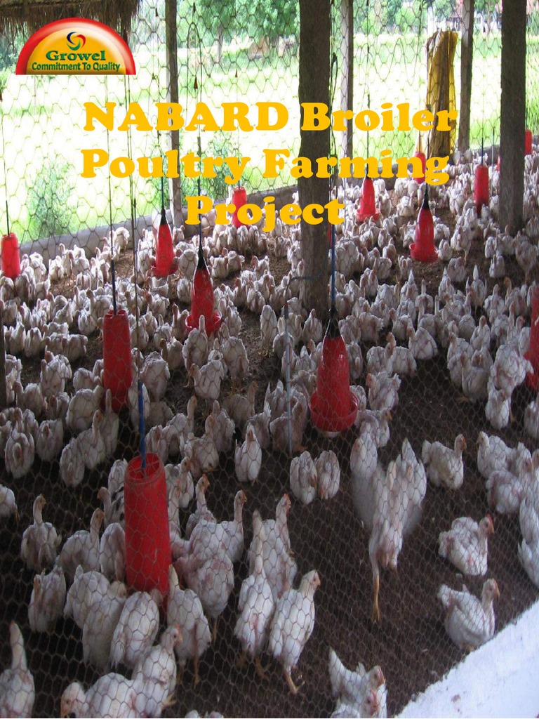 NABARD Broiler Farming Project | Download Free PDF | Poultry Farming ...