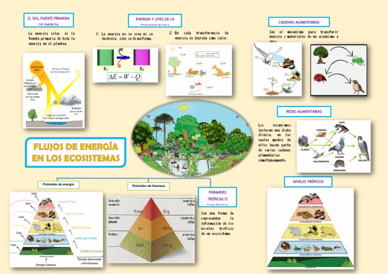 Flujos de Energia - Infografía | PDF | Ciencia medioambiental | Naturaleza Flujos de Energia - Infografía | PDF | Ciencia medioambiental | Naturaleza