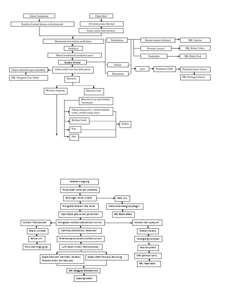 WOC Kanker Prostat (FKP UNIVERSITAS AIRLANGGA SURABAYA) | PDF