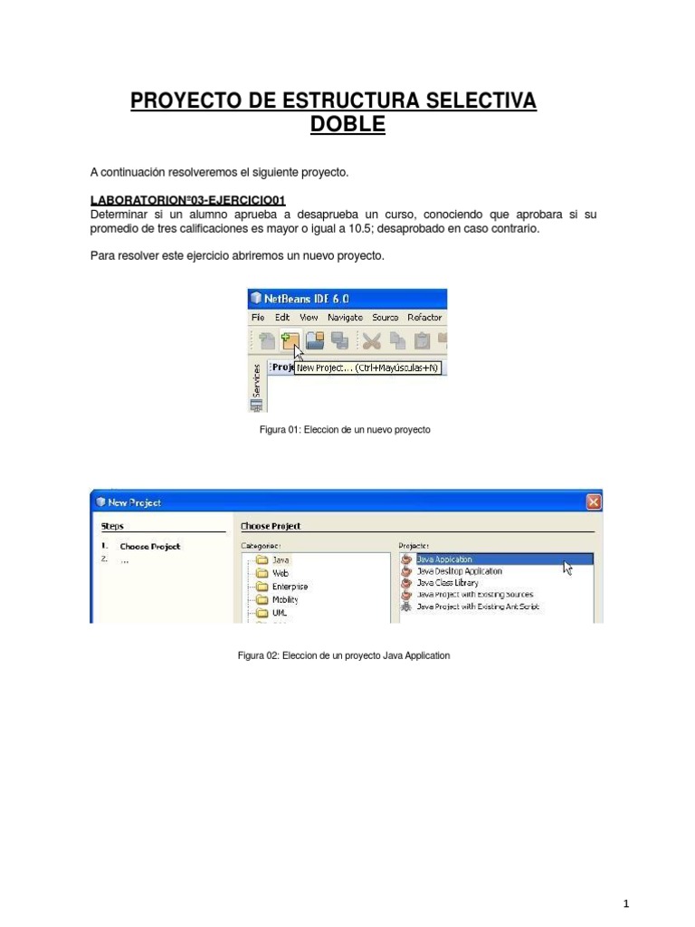 Ejercicios Java Netbeans Pdf Java Lenguaje De Programación Algoritmos