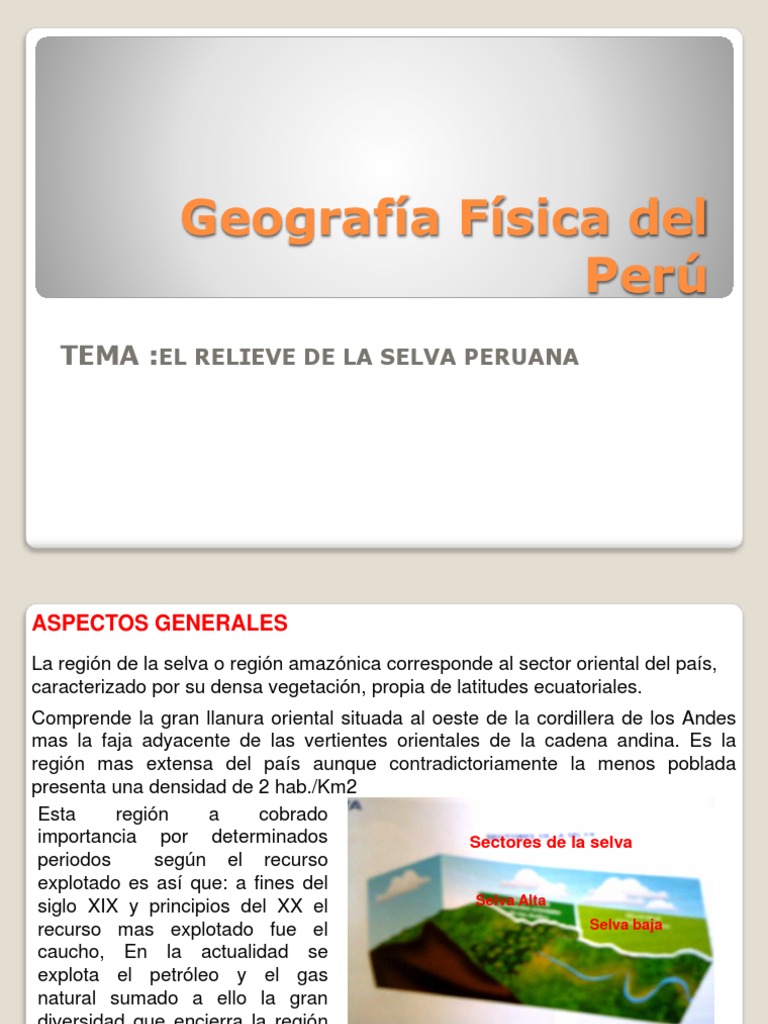 Relieve de la Selva Peruana | PDF | Selva | Andes
