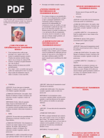 Triptico ITS | PDF | Infección transmitida sexualmente | Virus