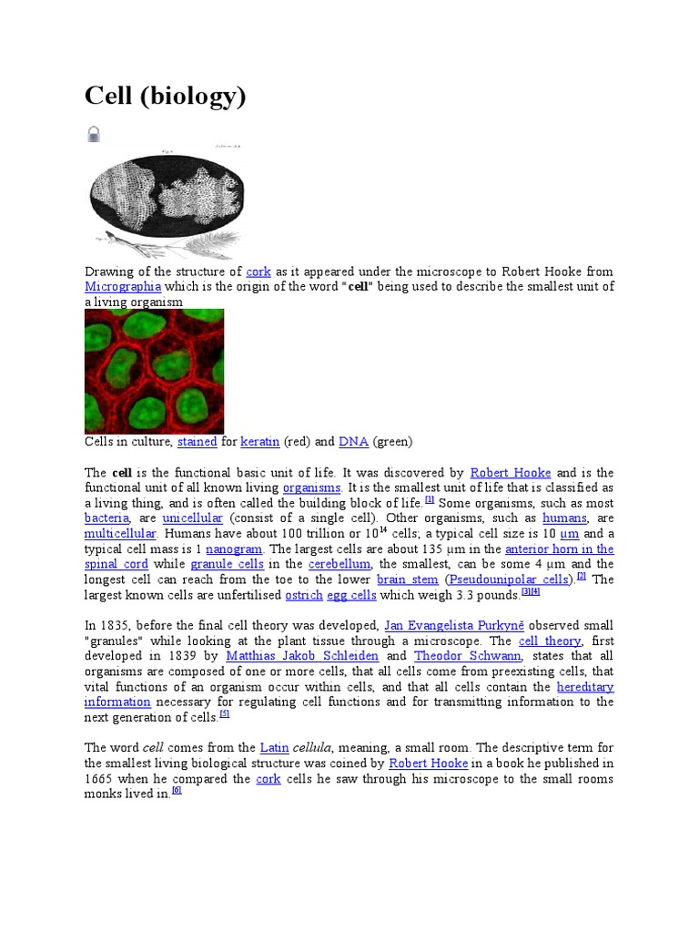 Cell (Biology) | PDF | Cell (Biology) | Cell Nucleus