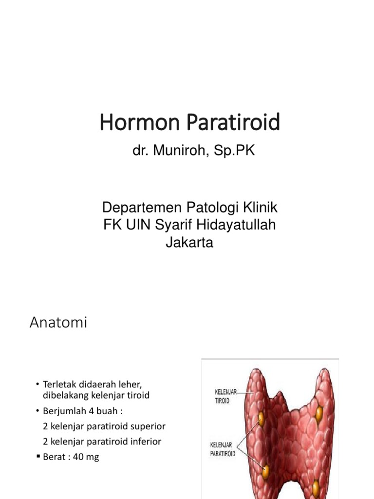 Hormon Paratiroid: Dr. Muniroh, SP - PK | PDF | Organic Compounds ...