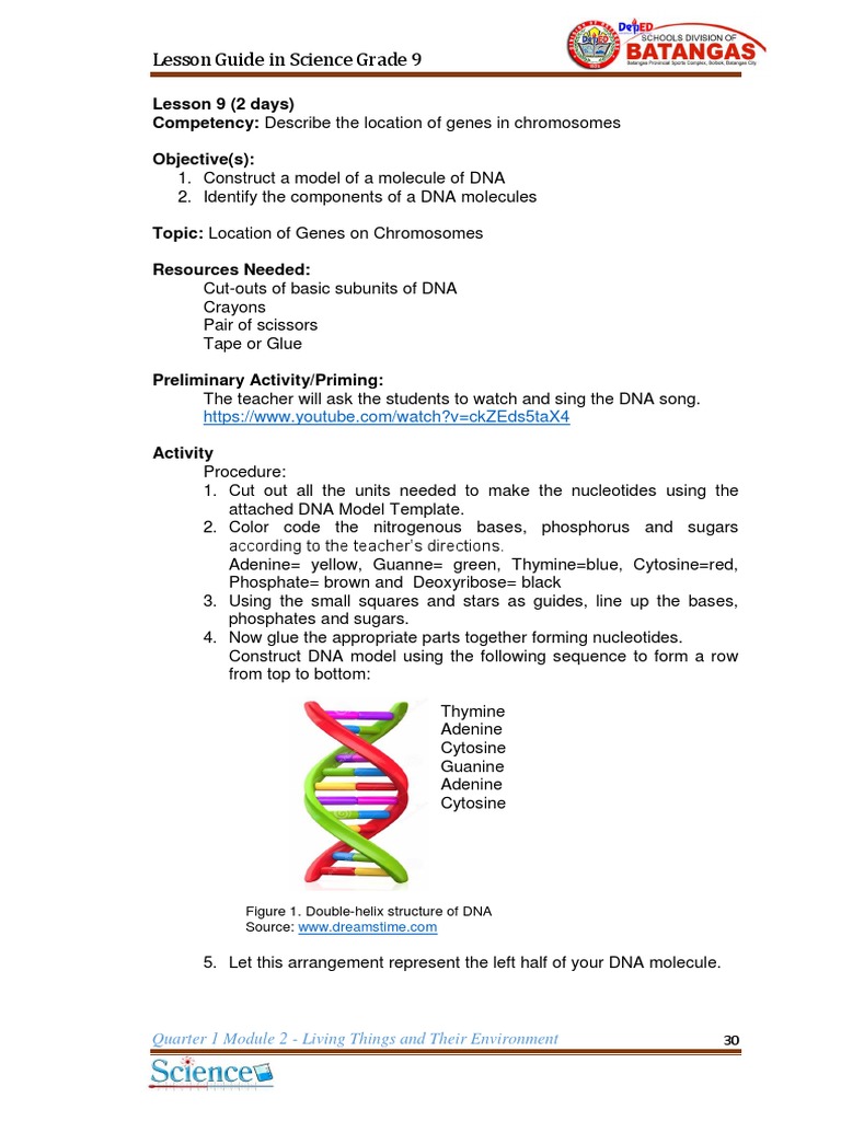 DNA Structure and Gene Location Guide | PDF | Dna | Nucleotides