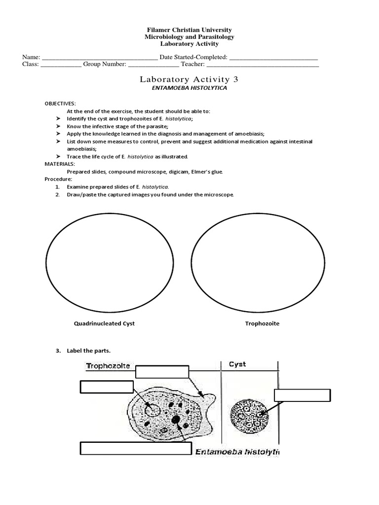 LA 3 Entamoeba Histolytica | PDF | Immunology | Microbiology