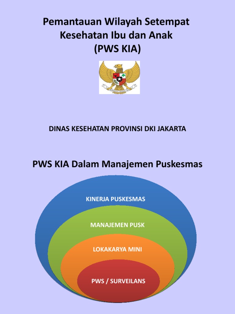 Pemantauan PWS KIA di DKI Jakarta | PDF