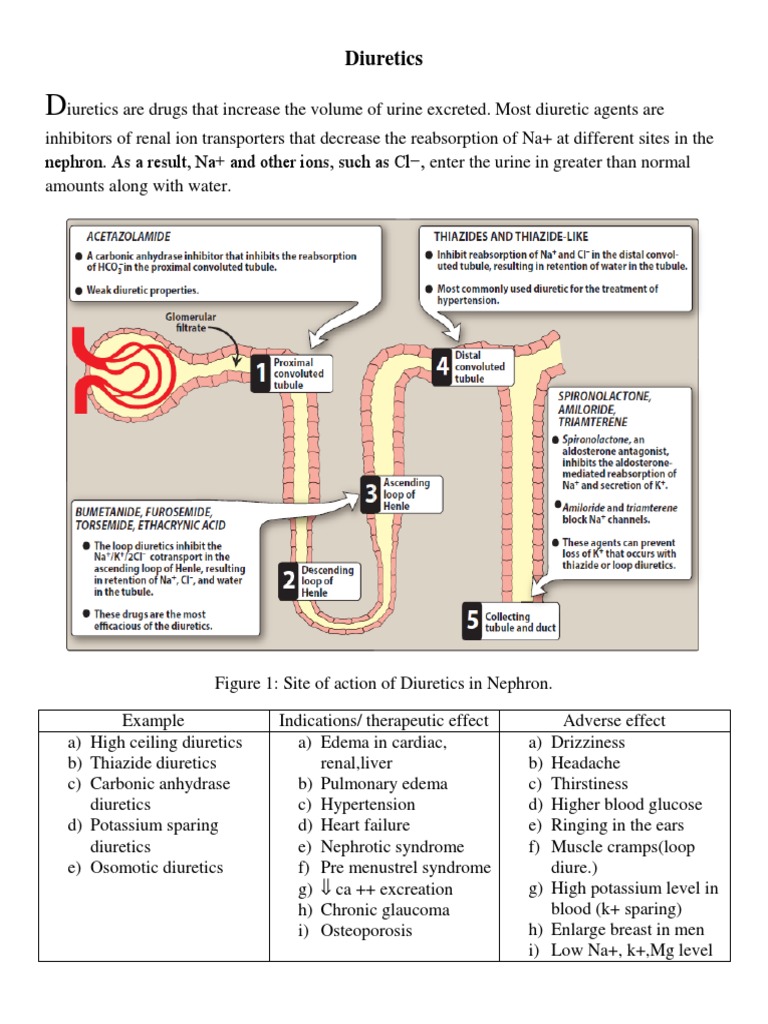 Diuretics | PDF | Drugs | Medical Specialties