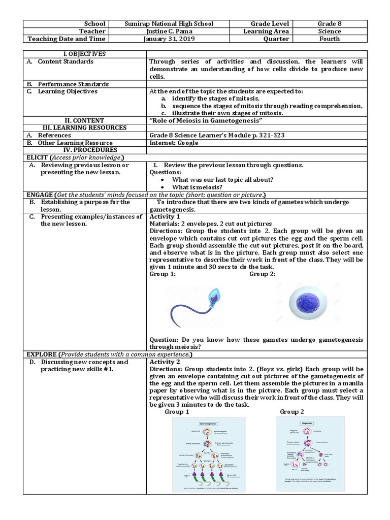 Understanding Gametogenesis through Meiosis: A Lesson Plan on the ...