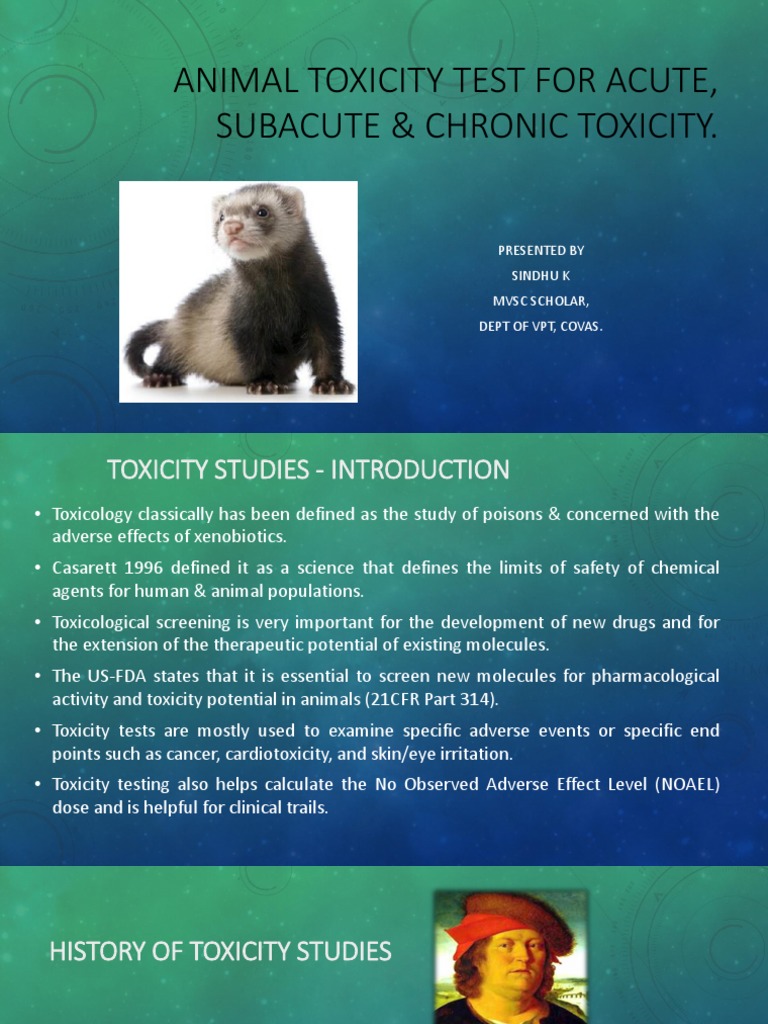 Acute Subacute Chronic | Toxicity | Toxicology