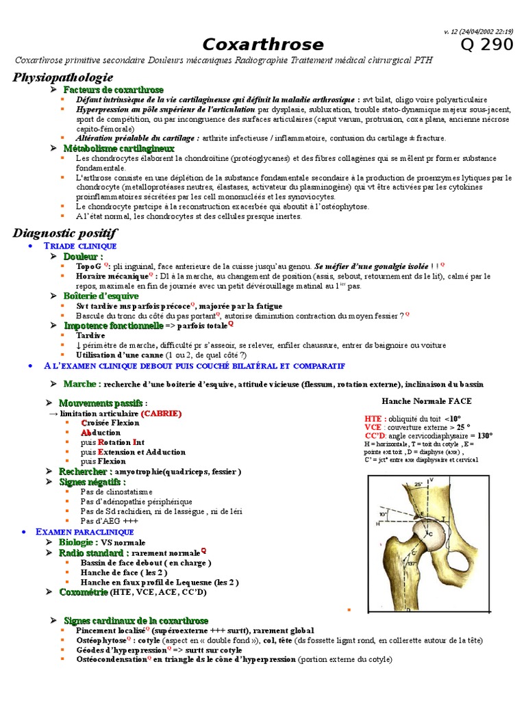 Q 290 Coxarthrose | PDF | Arthrose | Cartilage