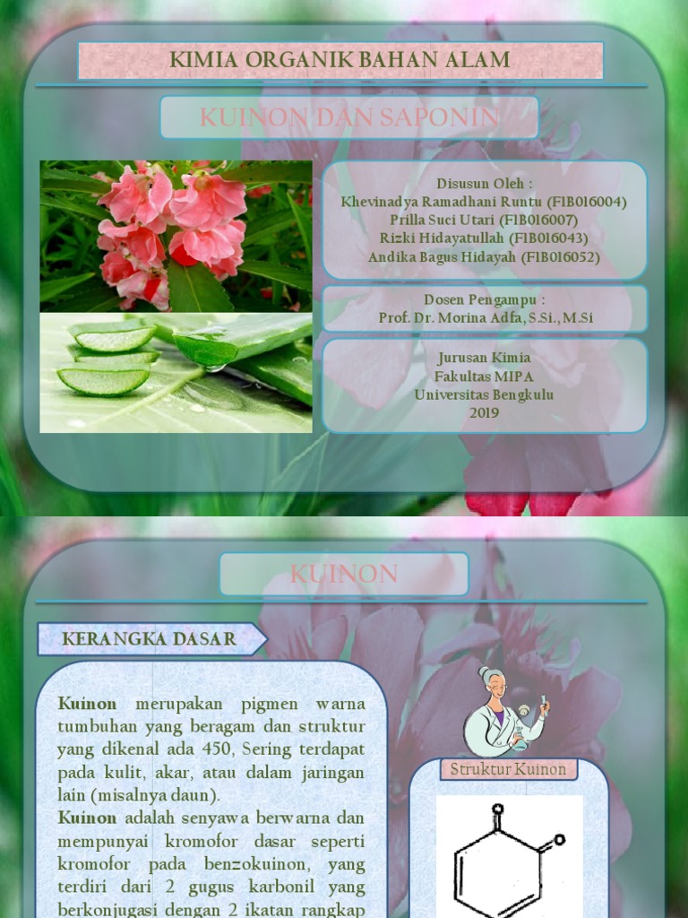 Kuinon Dan Saponin: Kimia Organik Bahan Alam | PDF