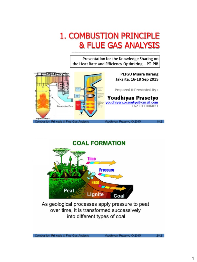 1 - Combustion Principle & Flue Gas Analysis - Muka 16-18 Sep 2015 - YP ...