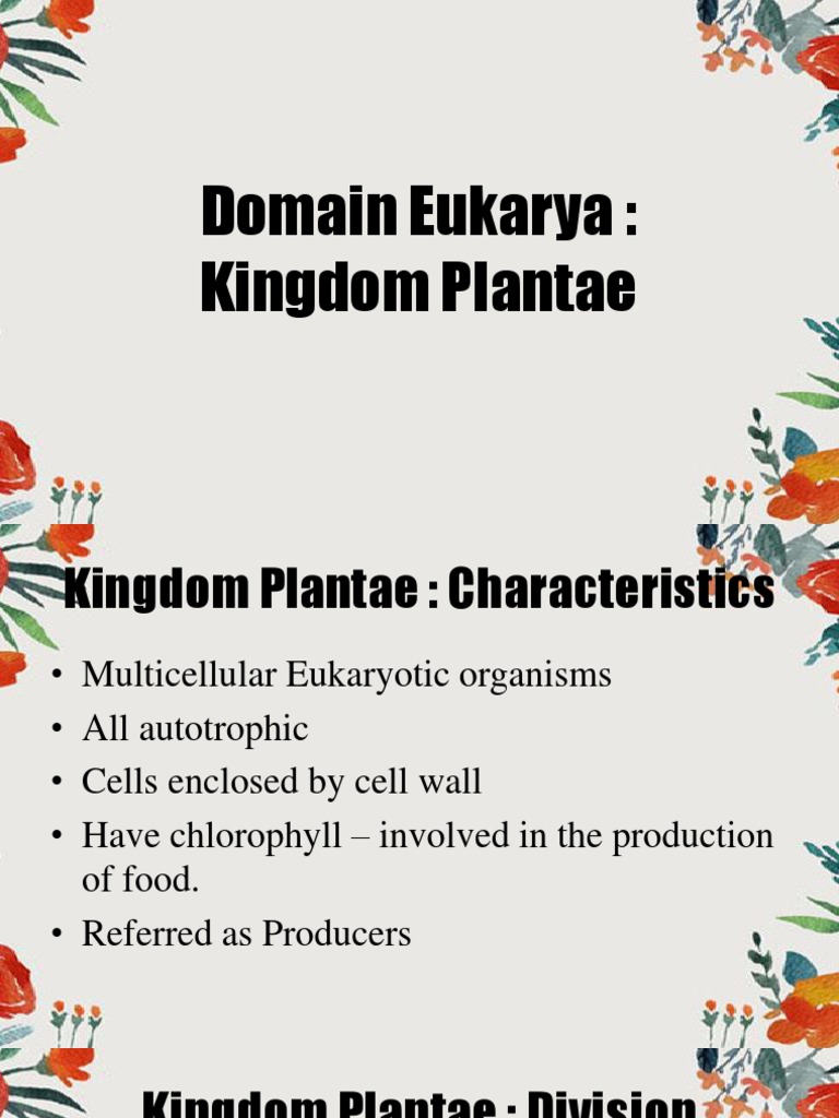 Domain Eukarya: Kingdom Plantae | PDF | Plants | Flowers