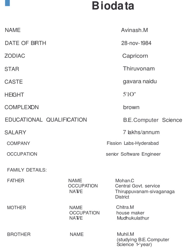 Avinash's Personal Biodata Summary | PDF