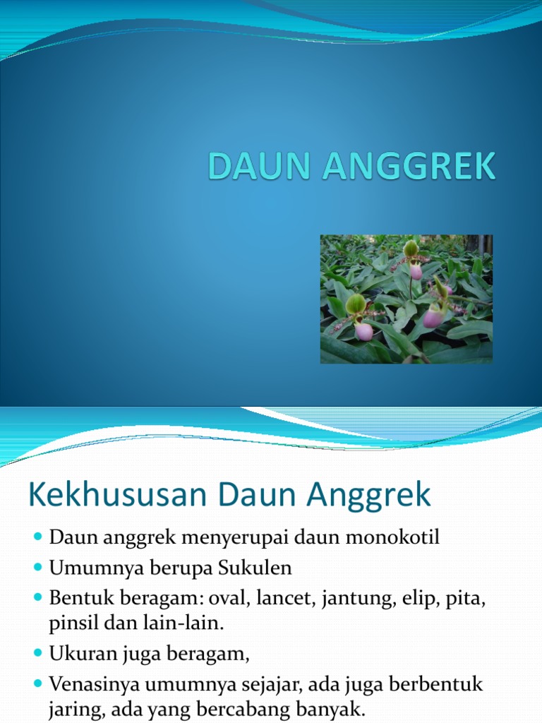 Daun Anggrek | PDF