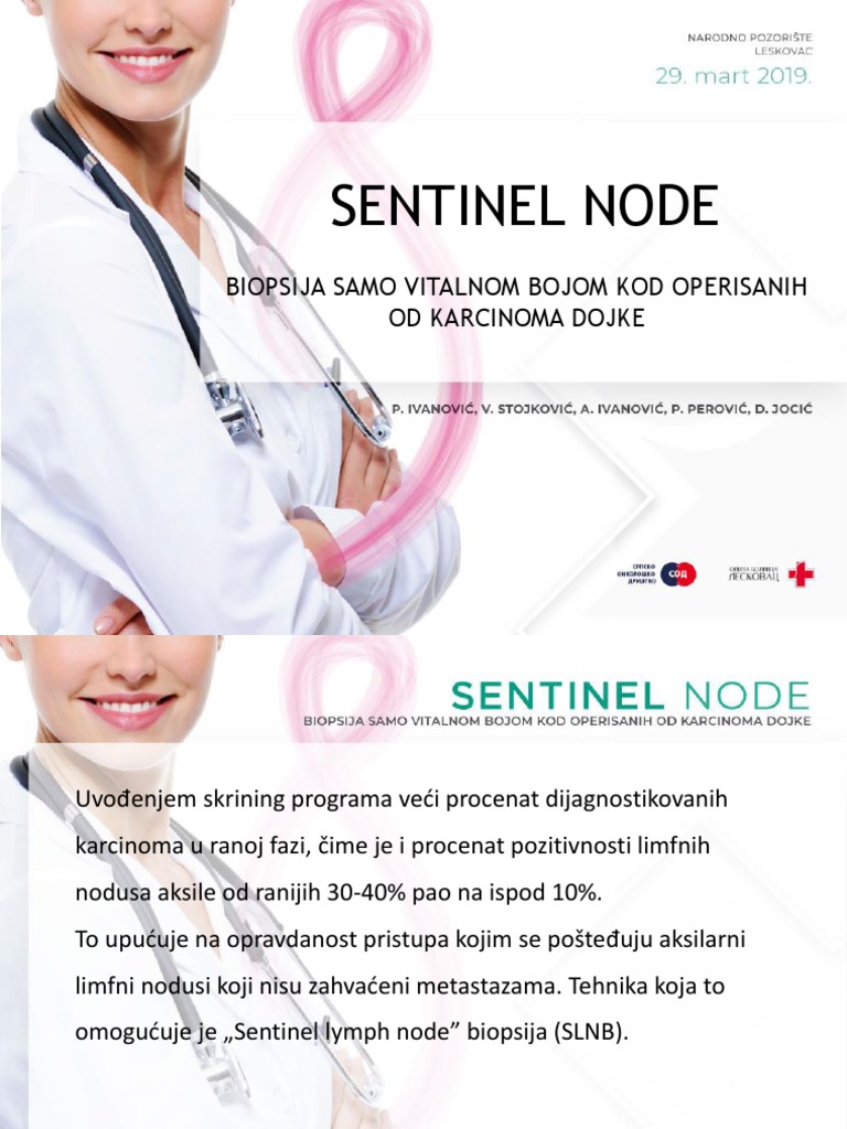 Leskovac Prezentacija Final | PDF