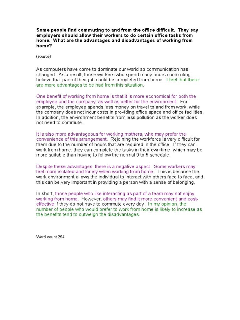 Work From Home Essay | PDF | Career & Growth | Computers