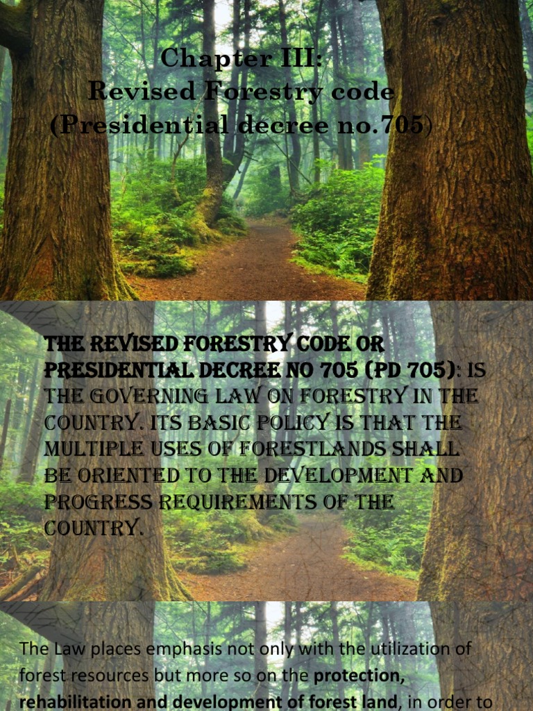 Revised Forestry Code (Presidential Decree No.705) | PDF | Forestry | Crime & Violence