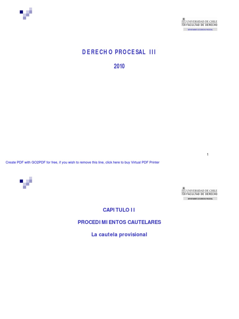 Capitulo II La Cautela Previsional | PDF | Mandato | Ley procesal