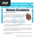 Sopa de Letras de Sistema Circulatorio | PDF