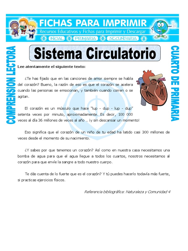 Sistema Circulatorio | PDF