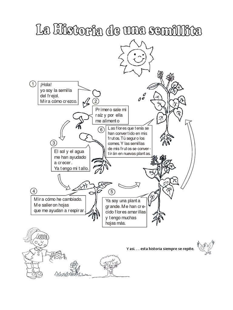 Historia de Una Semilla | PDF
