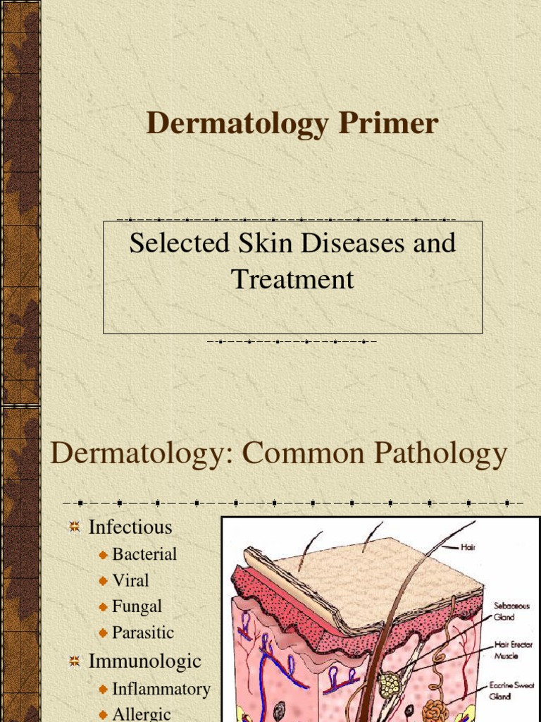 Dermatology Primer | PDF | Herpes Simplex | Dermatitis