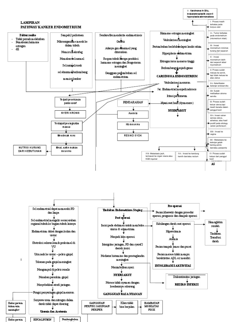 Pathway Ca Endometrium | PDF