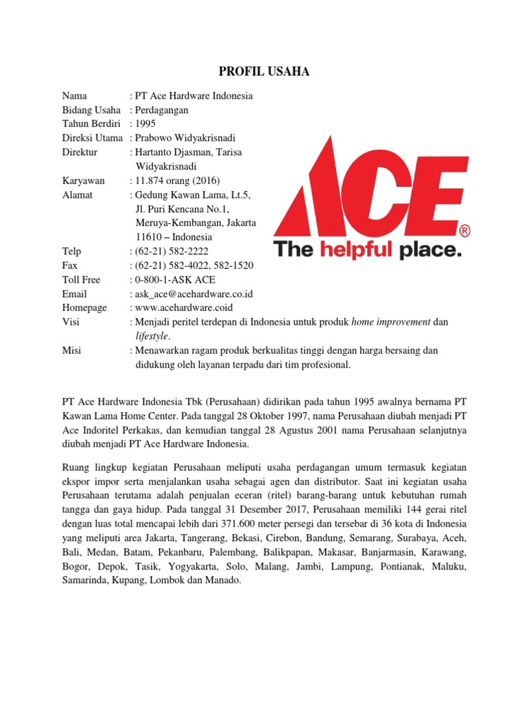 Profil Usaha Ace | PDF