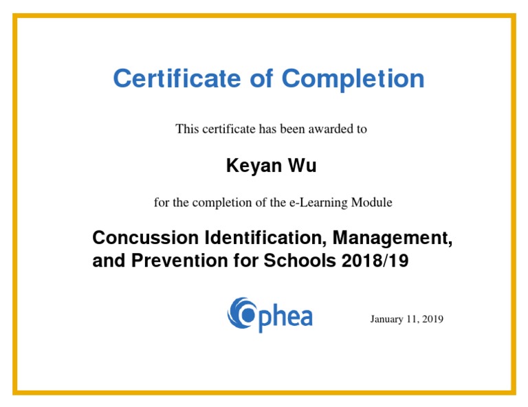 Concussion Identification Certificate | PDF