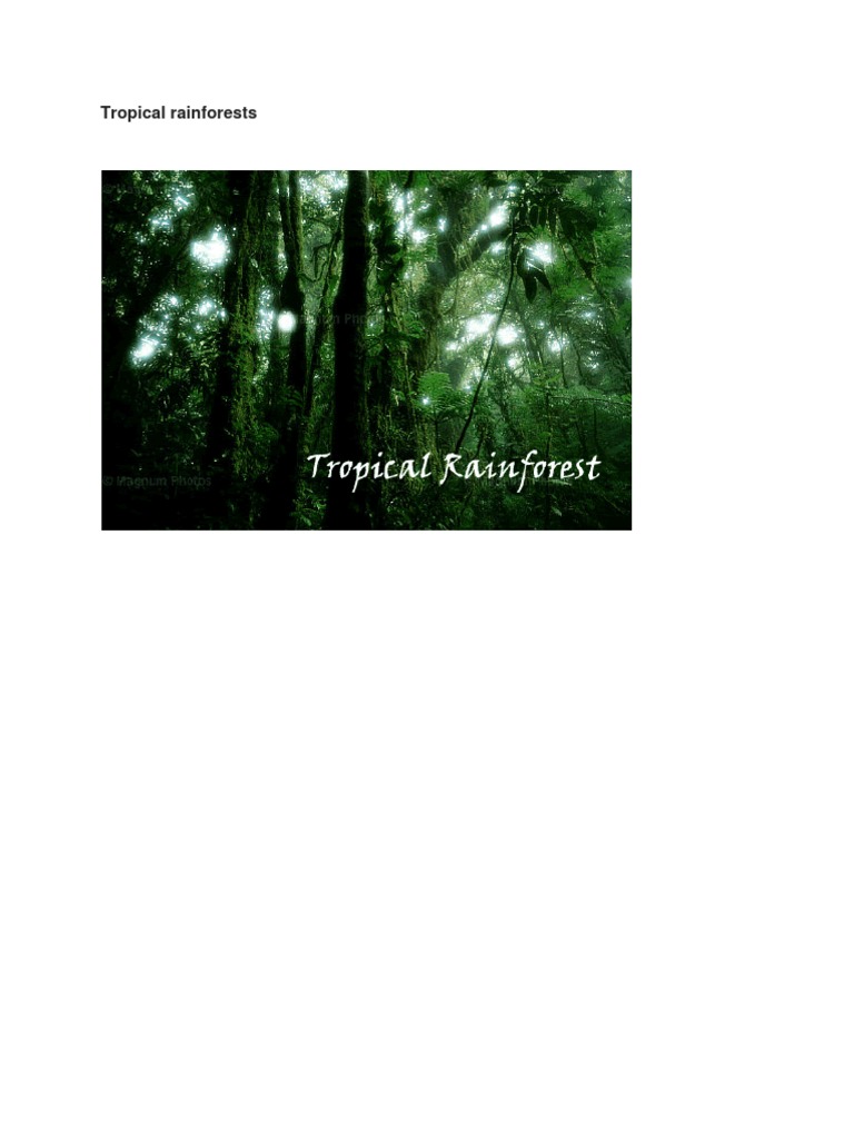 Forests | PDF | Forests | Rainforest