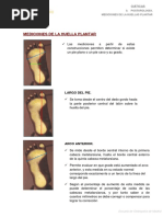 Comparativa: Ángulos de Meary y Costa-Bartani | PDF | Pie | Sistema ...