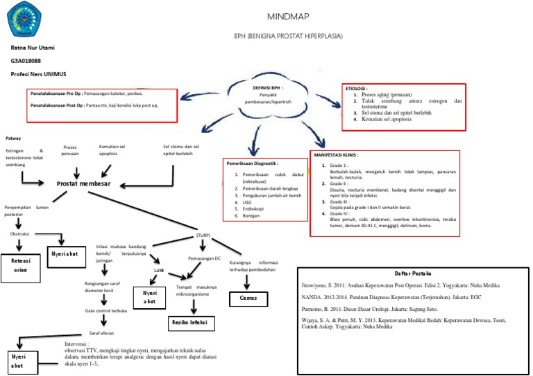 Mindmap BPH | PDF