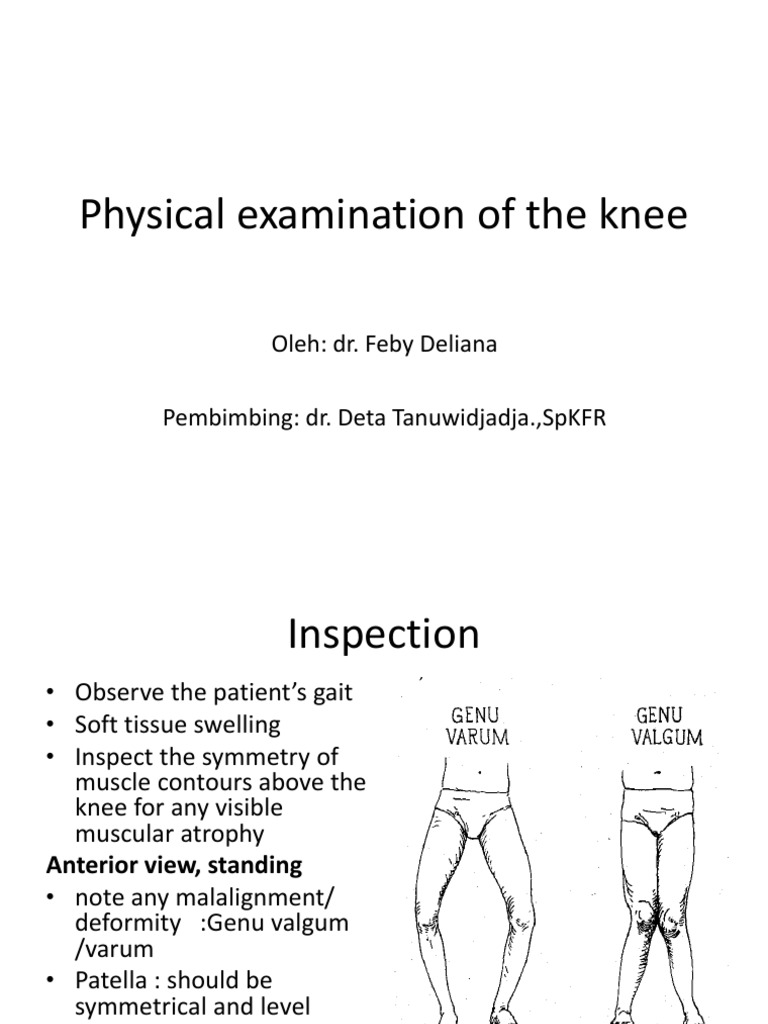 Physical Examination Of The Knee Oleh Dr Feby Deliana Pembimbing Dr