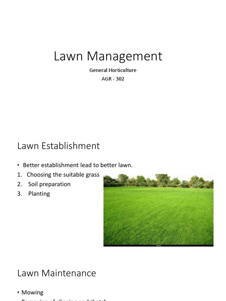 Comprehensive Lawn Care Guide | PDF