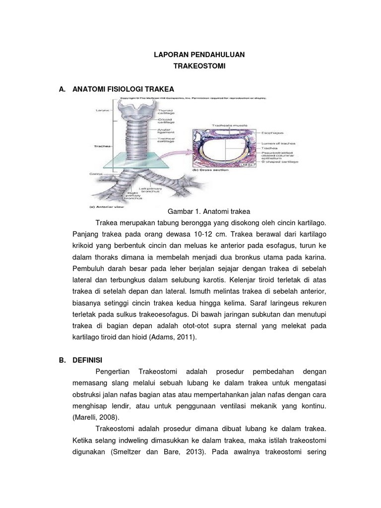 Prosedur dan Perawatan Trakeostomi | PDF