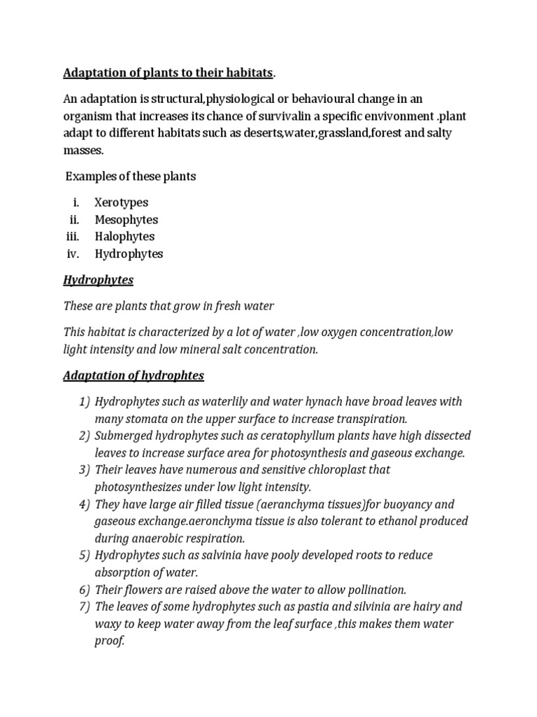 Adaptation of Plants To Their Habitats.: Hydrophytes | PDF | Leaf | Stoma