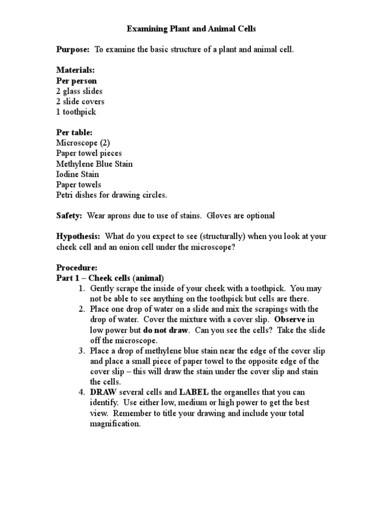 Plant and Animal Cell Lab Experiment | PDF | Staining | Microscopy