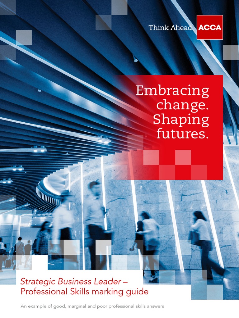 SBL Professional Skills Marking Guide | PDF | Risk Management | Analytics