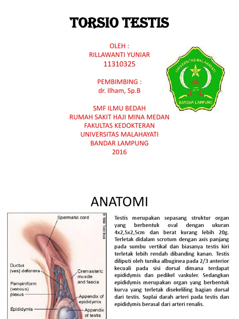 Torsio Testis | PDF