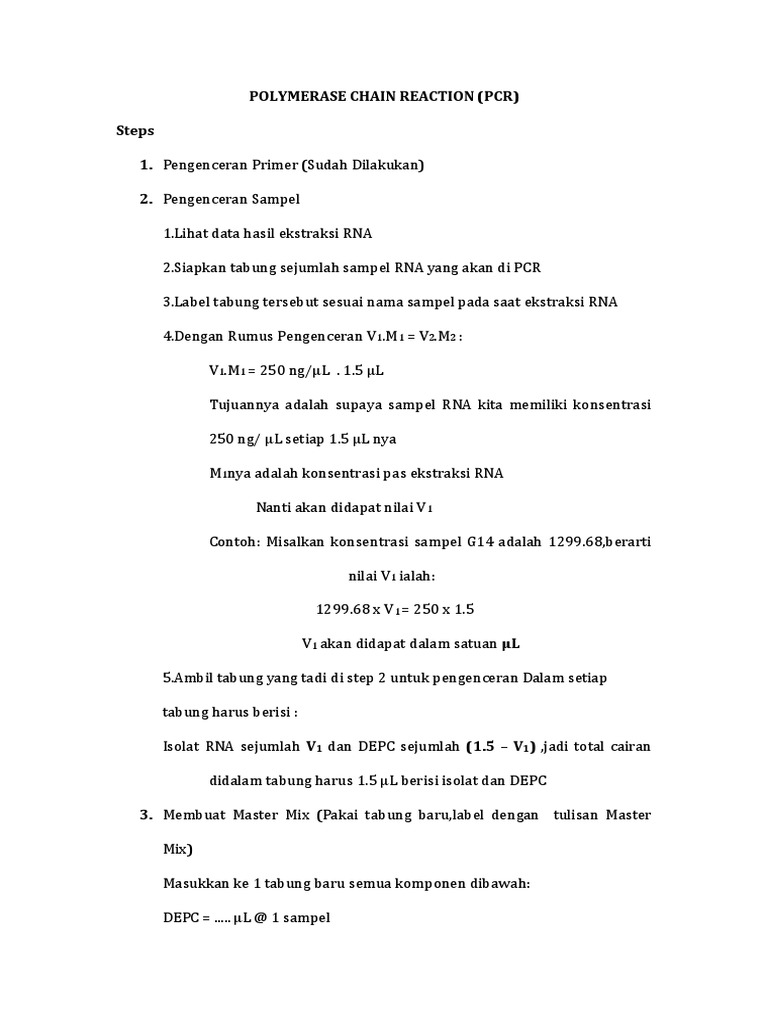 Step ELFOR DAN PCR | PDF