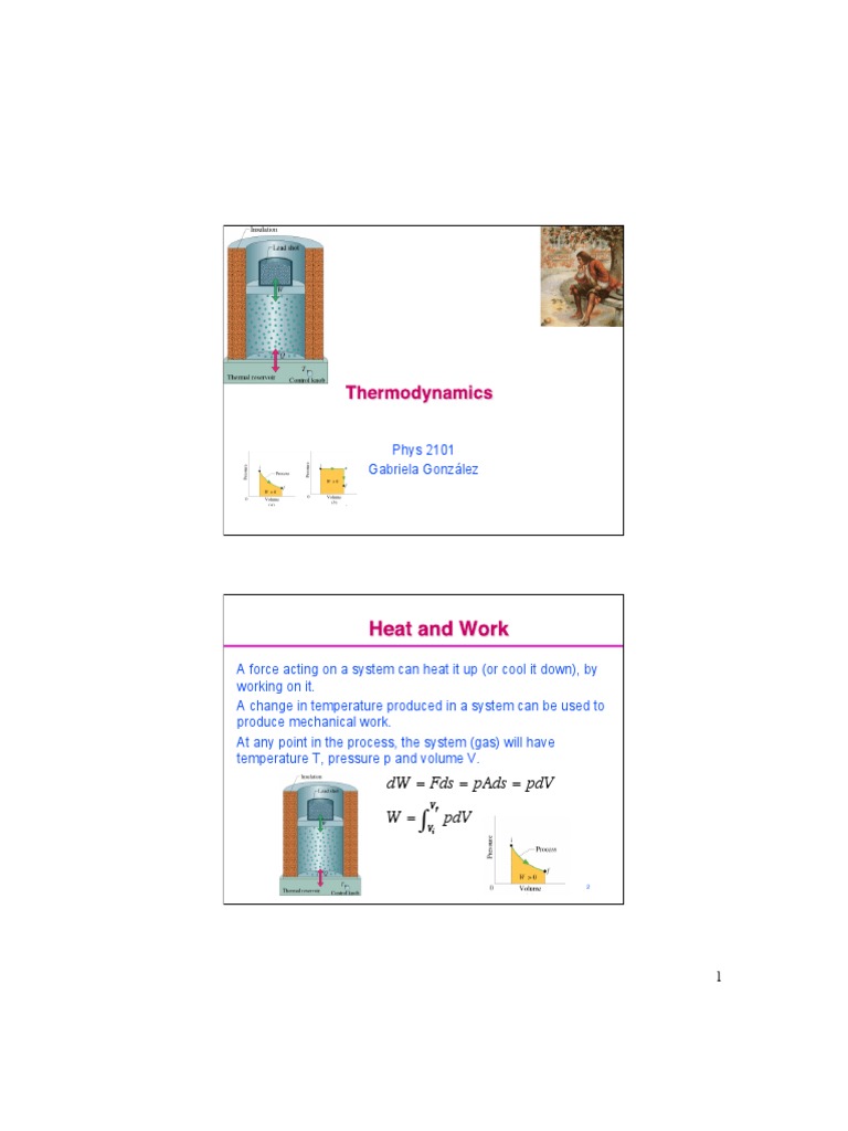 DW Fds Pads PDV W PDV | PDF | Gases | Mole (Unit)