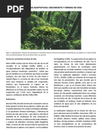 Dryopithecus | PDF | Hominidae | Homo Sapiens