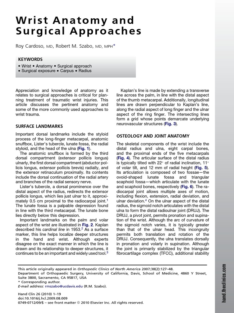 Wrist Anatomy and Surgical Approaches | PDF | Thumb | Hand