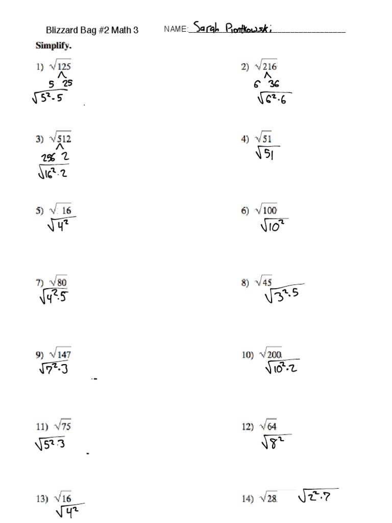 Blizzard Bag 2 MR | PDF