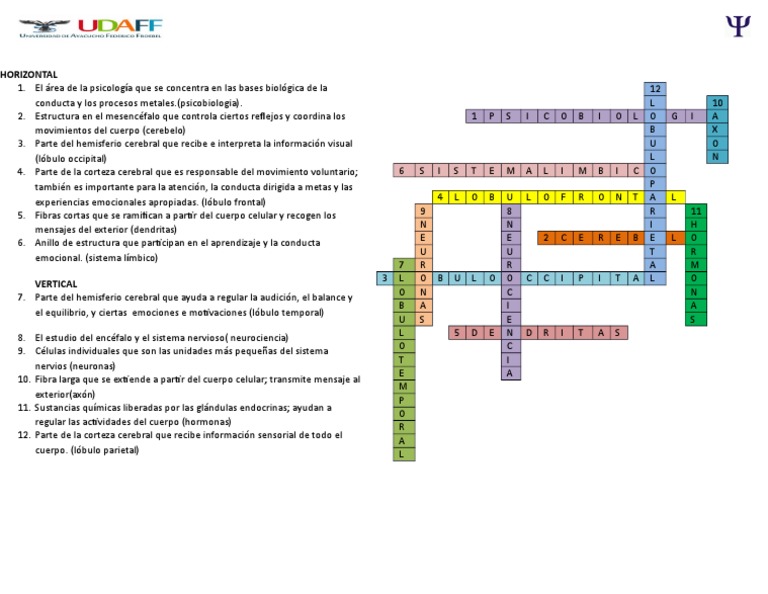Crucigrama 3 | PDF | Cerebro | Neurociencia