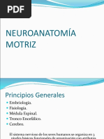 Signo del Témpano y Fabela en Rodilla | PDF | Rodilla | Pie