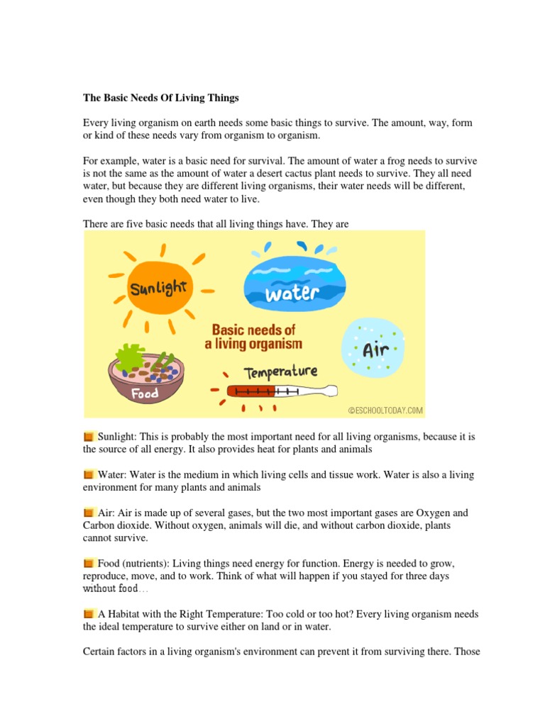 The Basic Needs of Living Things | PDF